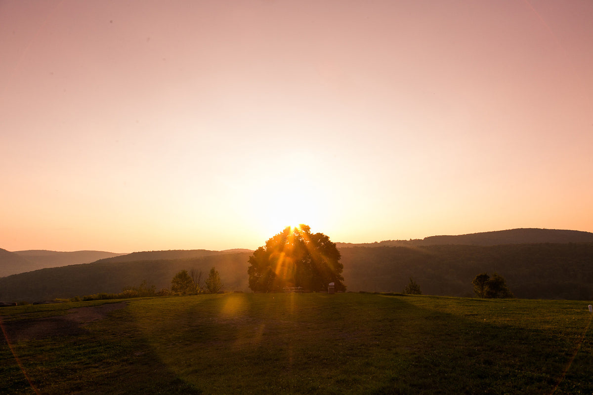 How Handsome Brook Farms conquered America | Handsome Brook Farms
