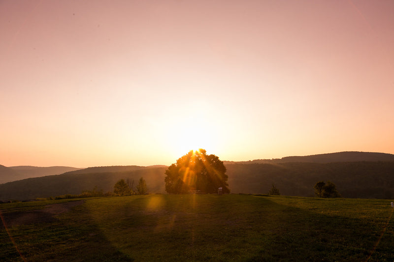 How Handsome Brook Farms conquered America | Handsome Brook Farms