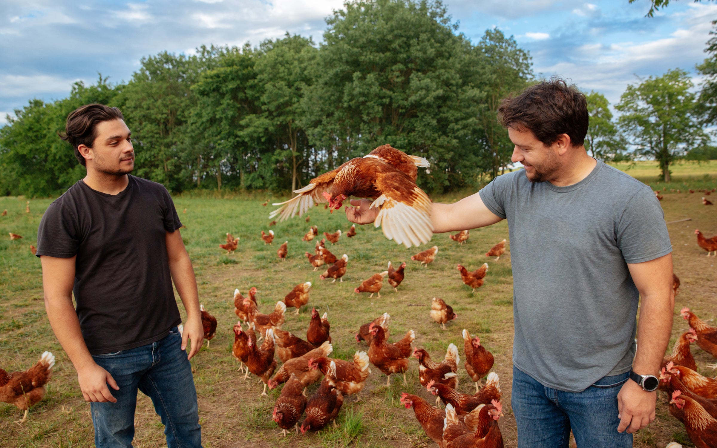 Handsome Brook Farms | Better Pasture Raised Eggs