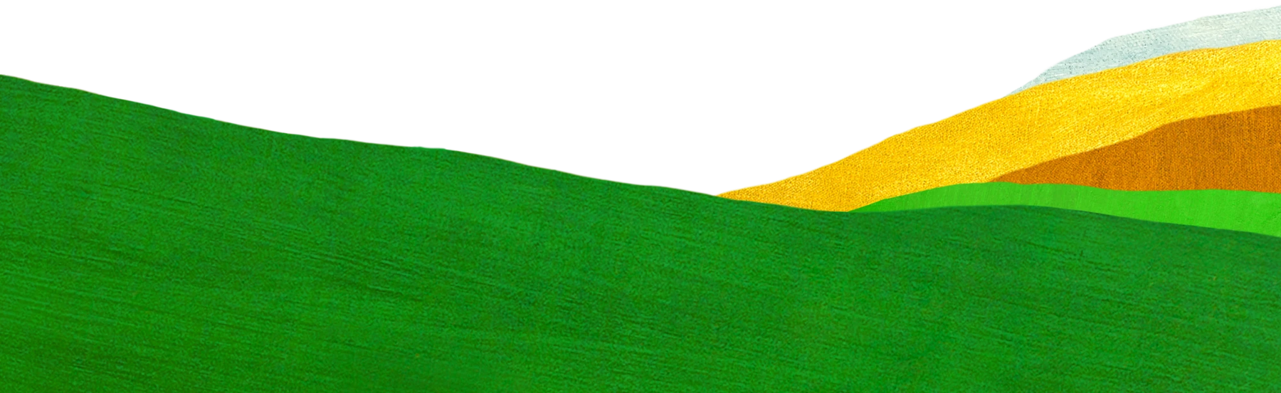 Handsome Brook Farms | Better Pasture Raised Eggs