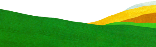 Handsome Brook Farms | Better Pasture Raised Eggs