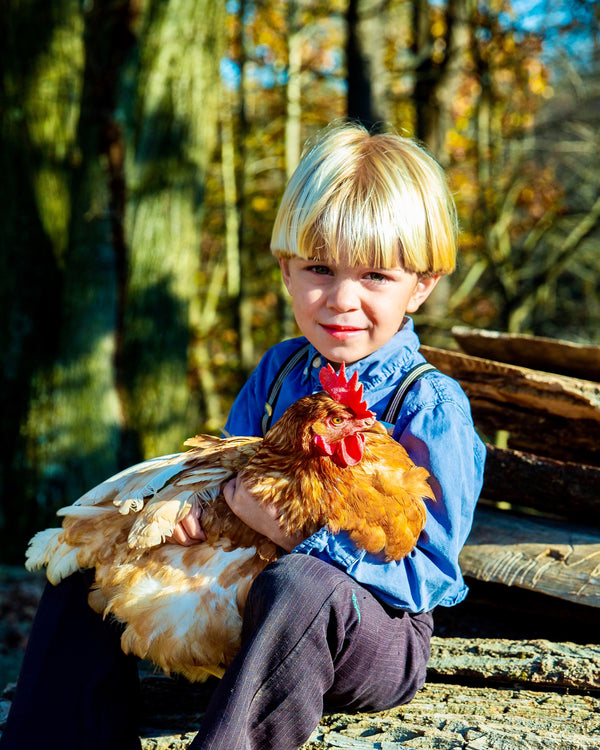 About Us | Handsome Brook Farms